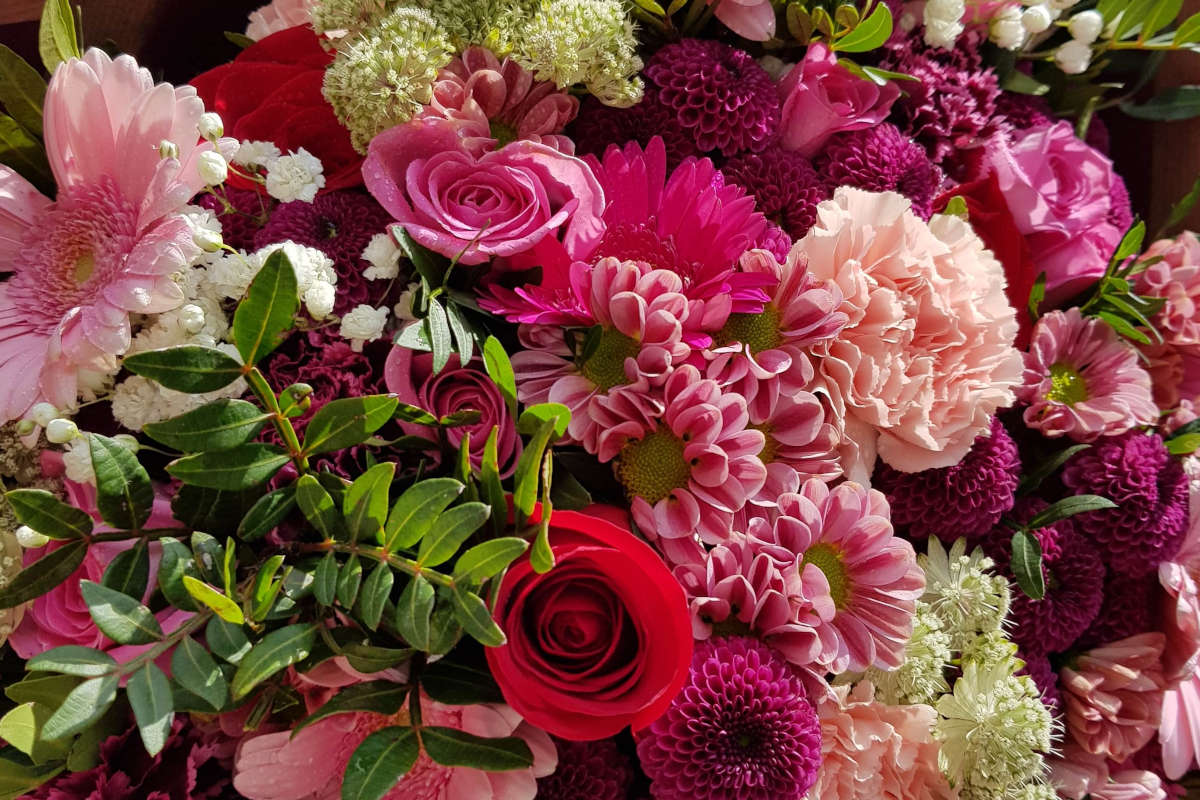 Categoría: Flor cortada - Floristería Artesaniaflorae